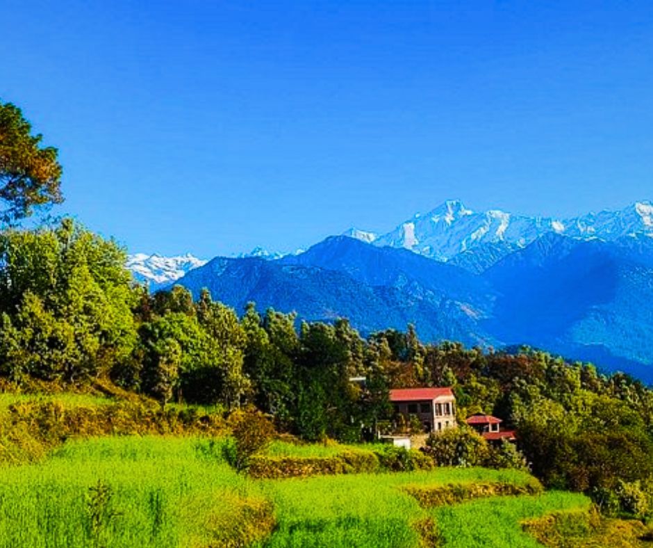 From Haridwar: 6 Day Tour Package for Kedarnath & Badrinath - TRISOJ