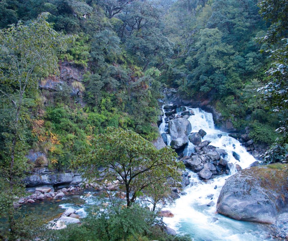 From Haridwar: Kedarnath and Badrinath Tour Package - TRISOJ