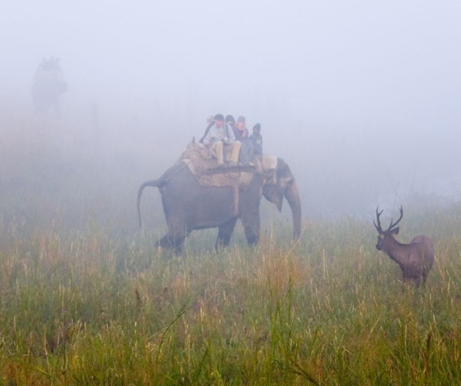 From Delhi: Jim Corbett National Park Tour Package - TRISOJ