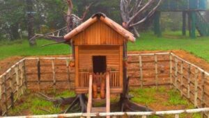 Mount Harriet National Park in Port Blair, Andaman - TRISOJ BLOG