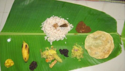 11 Best Things To Do in Alleppey in 2023 - TRISOJ