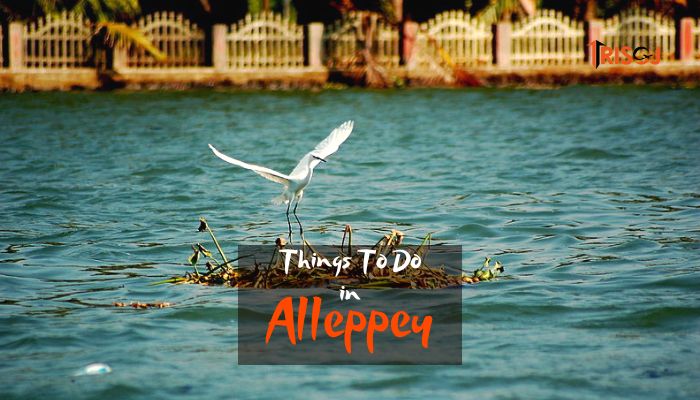 11 Best Things To Do in Alleppey in 2023 - TRISOJ