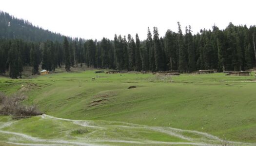 6 Charming Things To Do in Khajjiar, Himachal Pradesh - TRISOJ