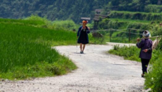 Achabal, Kashmir: Tourist Places & Activities - TRISOJ