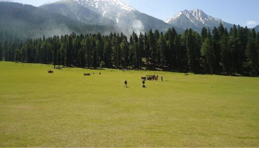 11 Best Things To Do in Pahalgam, Jammu & Kashmir - TRISOJ