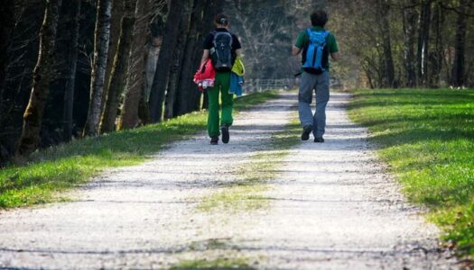 8 Attractive Things to Do in Theog, Himachal Pradesh - TRISOJ