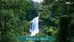 4 Famous Waterfalls in Kasauli, Himachal Pradesh - TRISOJ
